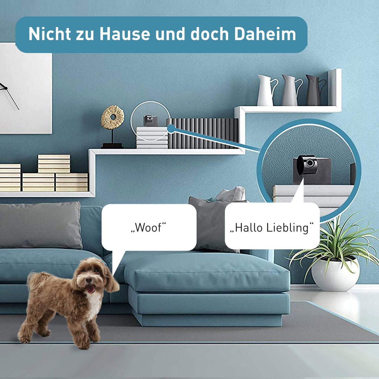 Hundekamera mit App ohne Abo, Haustierkamera mit Sprachfunktion und ...